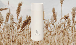 Reusable Water Bottles - S'wheat Bottle